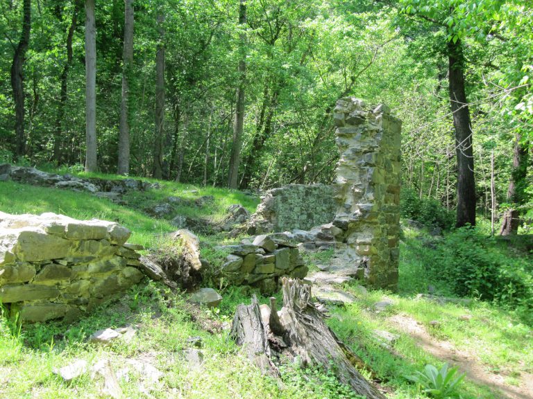 Archeologie in Amerika: Matildaville - USA365.nl